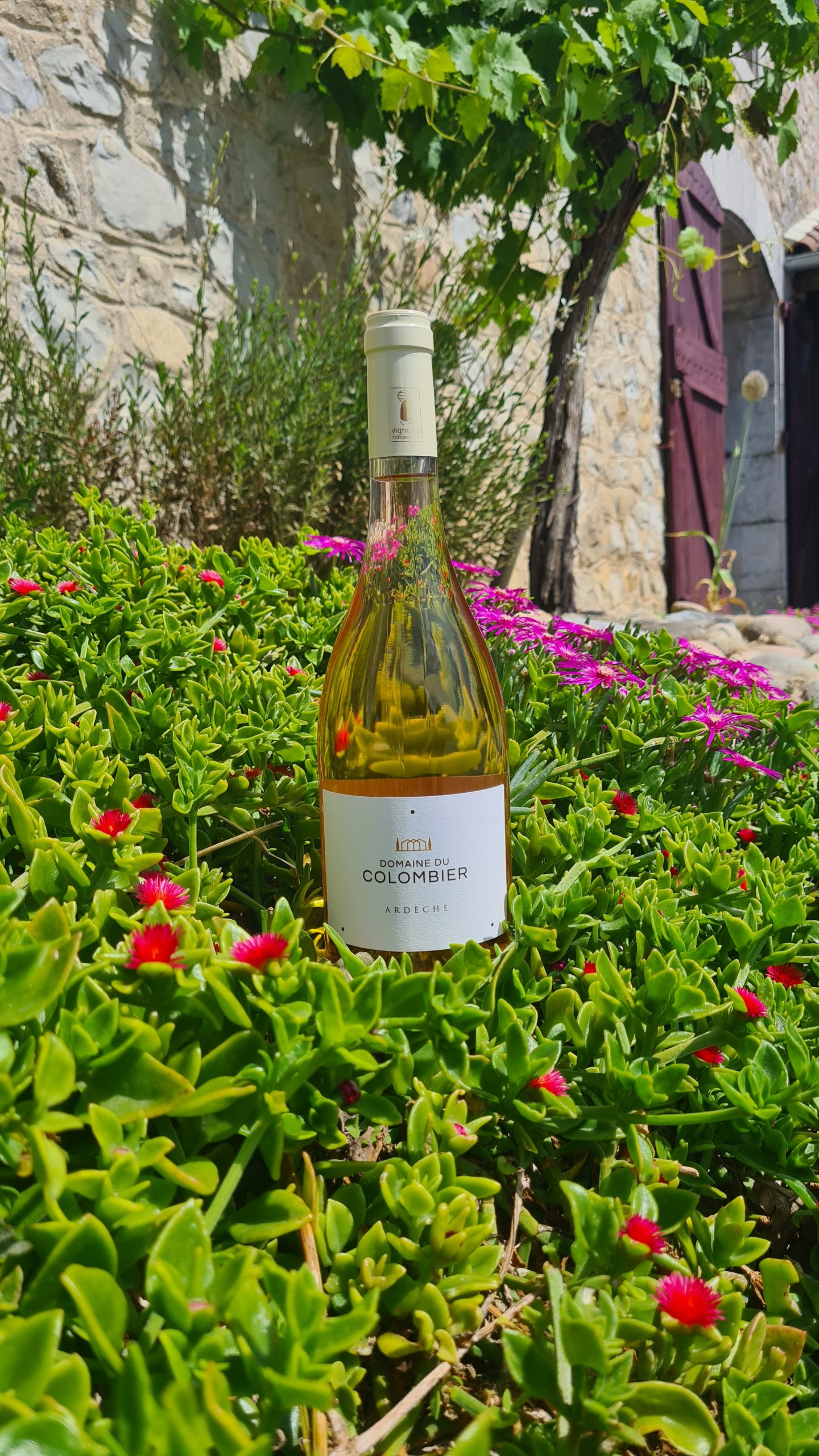 Le rosé change de Look - Domaine du Colombier